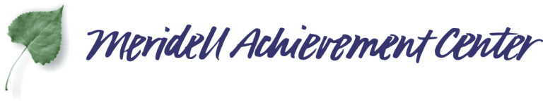 Therapeutic Programs - Next Step Youth Transport